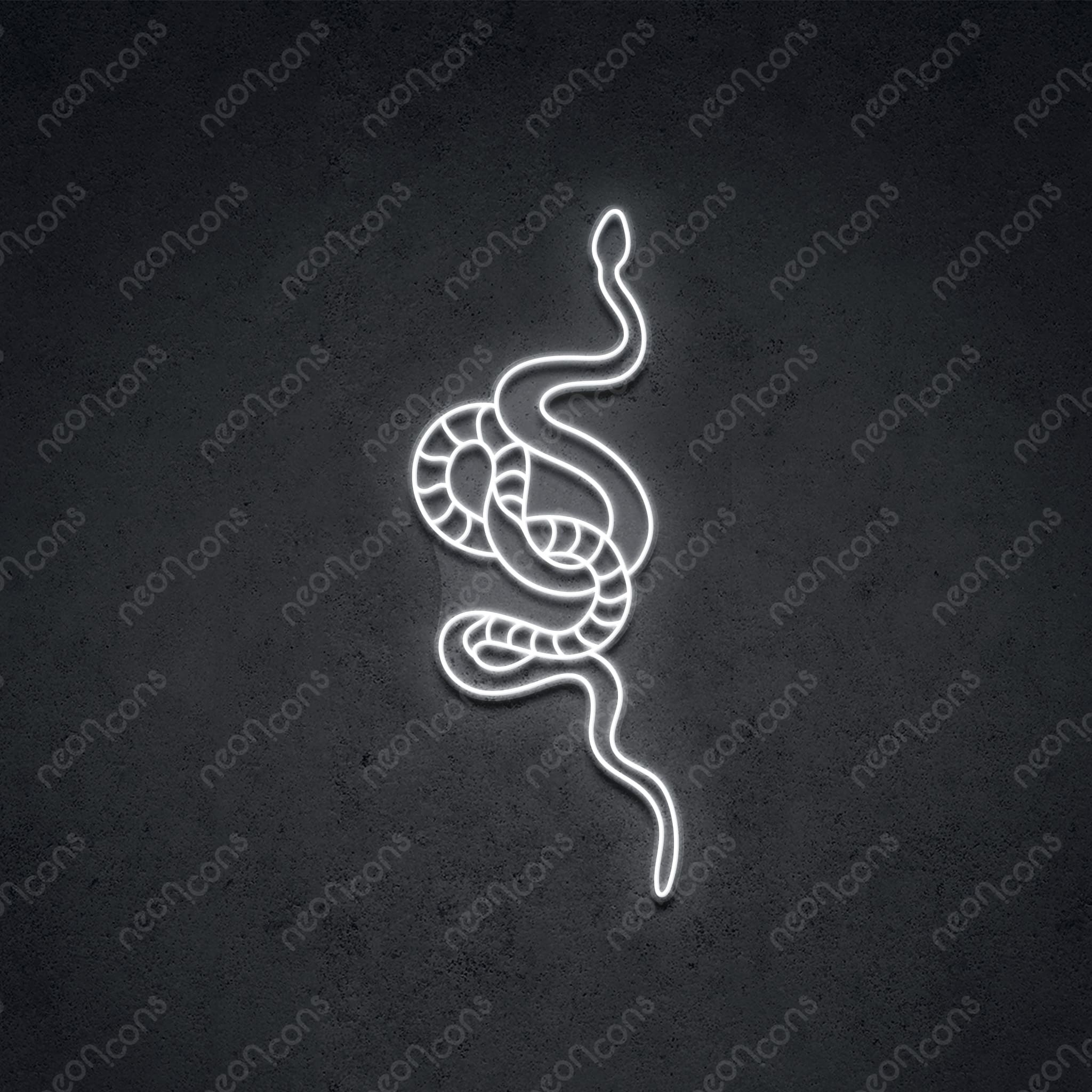 "Snake" Pet Neon Sign – Neon Icons